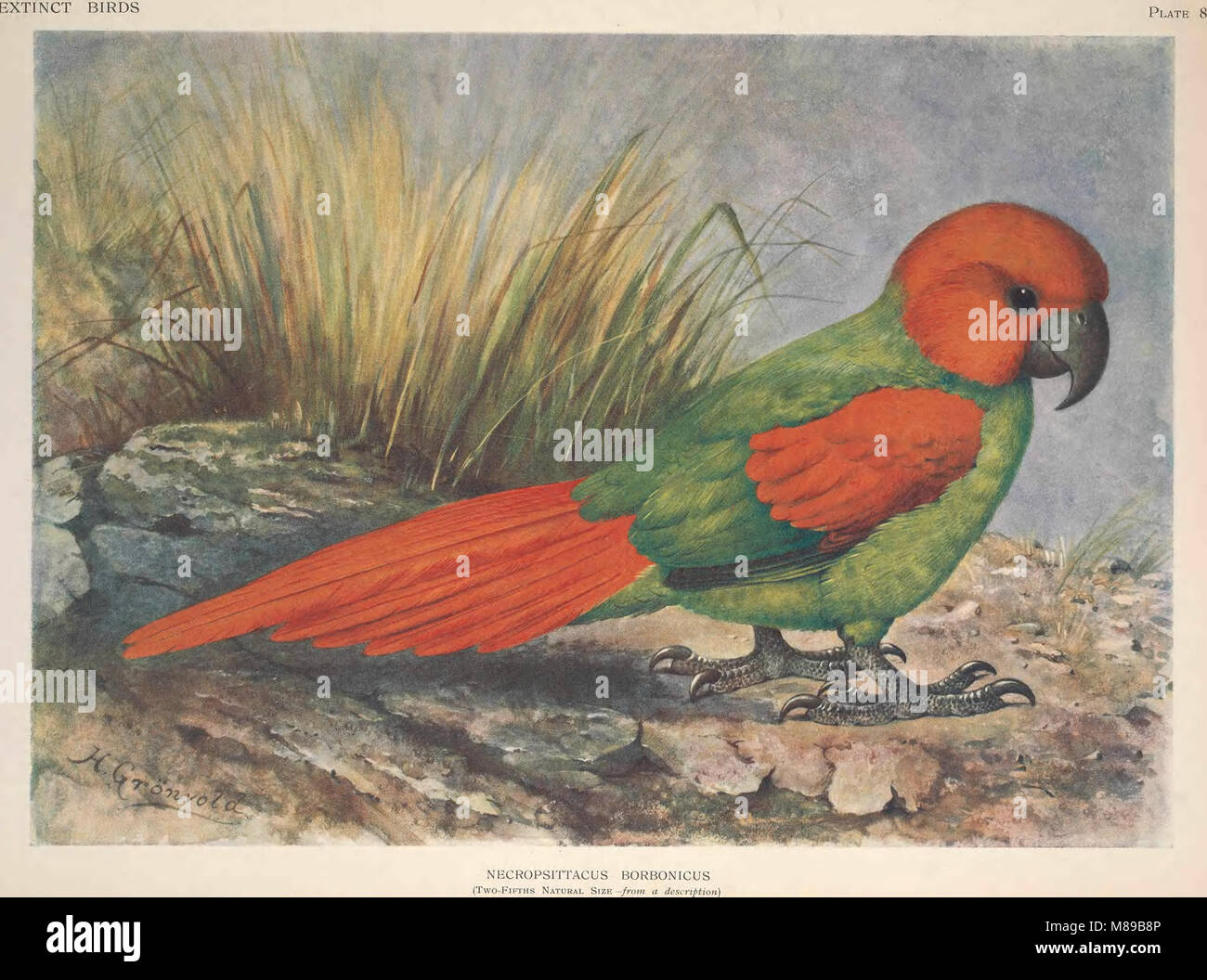 This work compiles information about birds that have become extinct in ...