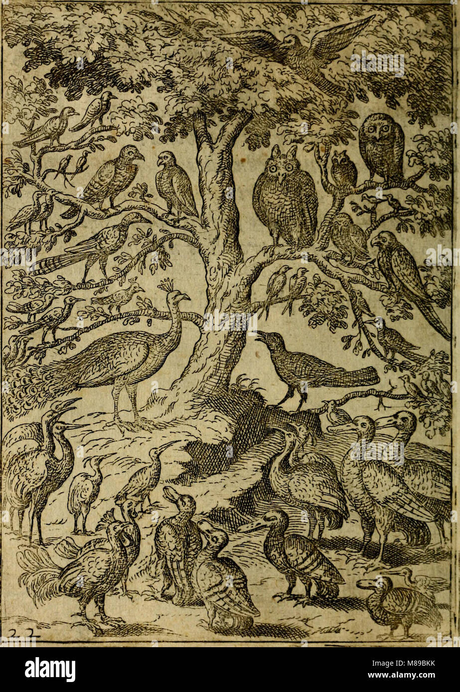 Fabulae hi-res stock photography and images - Alamy