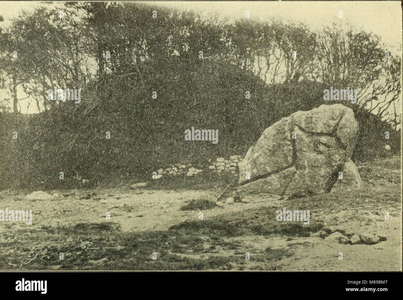 Facsimile (and) text of the Book of Aneirin (1908) (14780943954 Stock ...