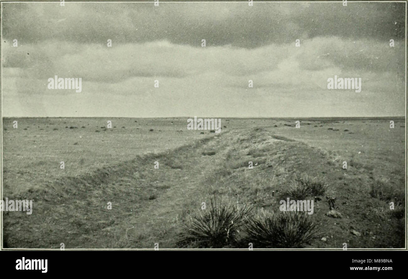 *Factory and Industrial Management* (1891) explores the principles of ...