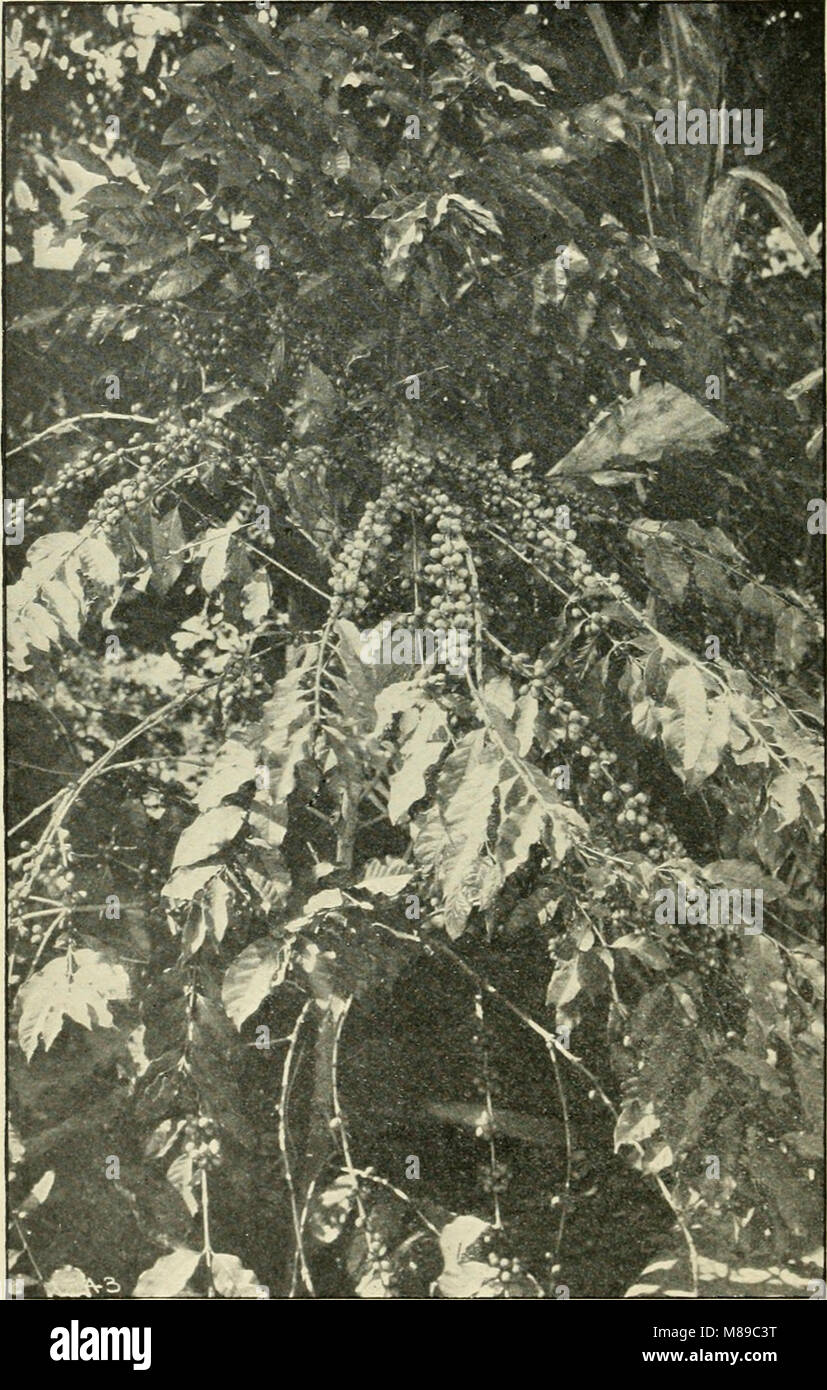 This 1900 report provides an overview of Mexico's geography, economy ...