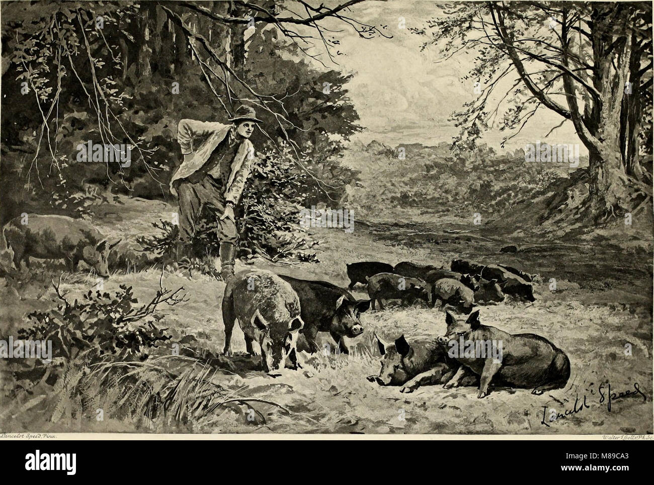 *Fair Women in Painting and Poetry* (1894) explores representations of ...