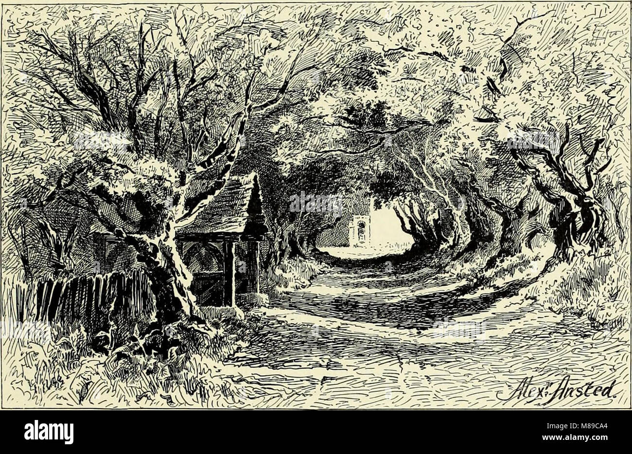 This 1894 publication explores the portrayal of women in art and ...