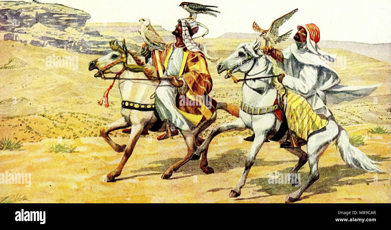 Falconry, the sport of kings (1920) (14565796998 Stock Photo - Alamy