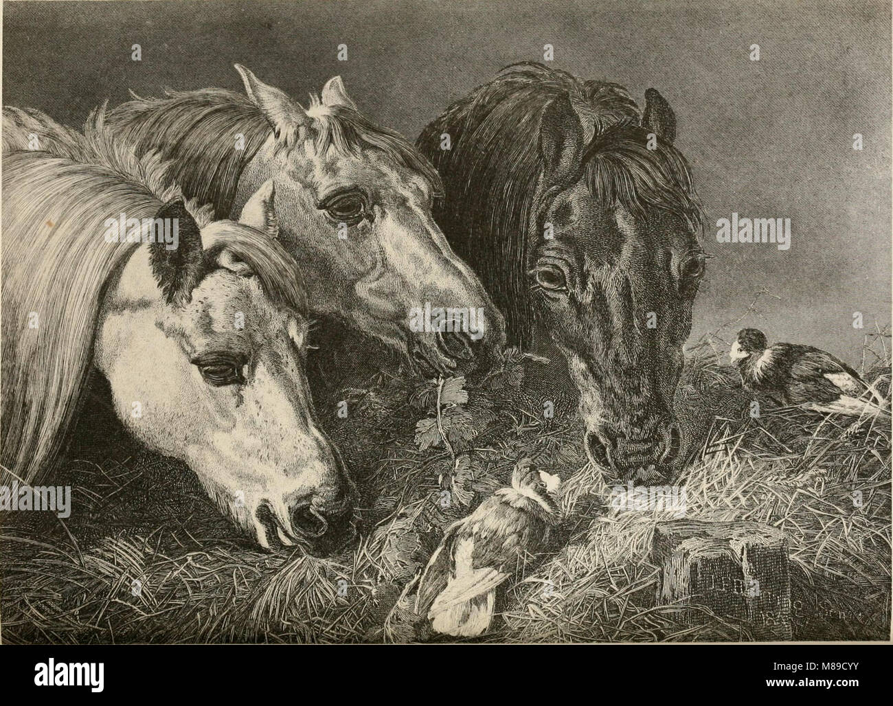 Famous painters and paintings (1876) (14595122848 Stock Photo - Alamy