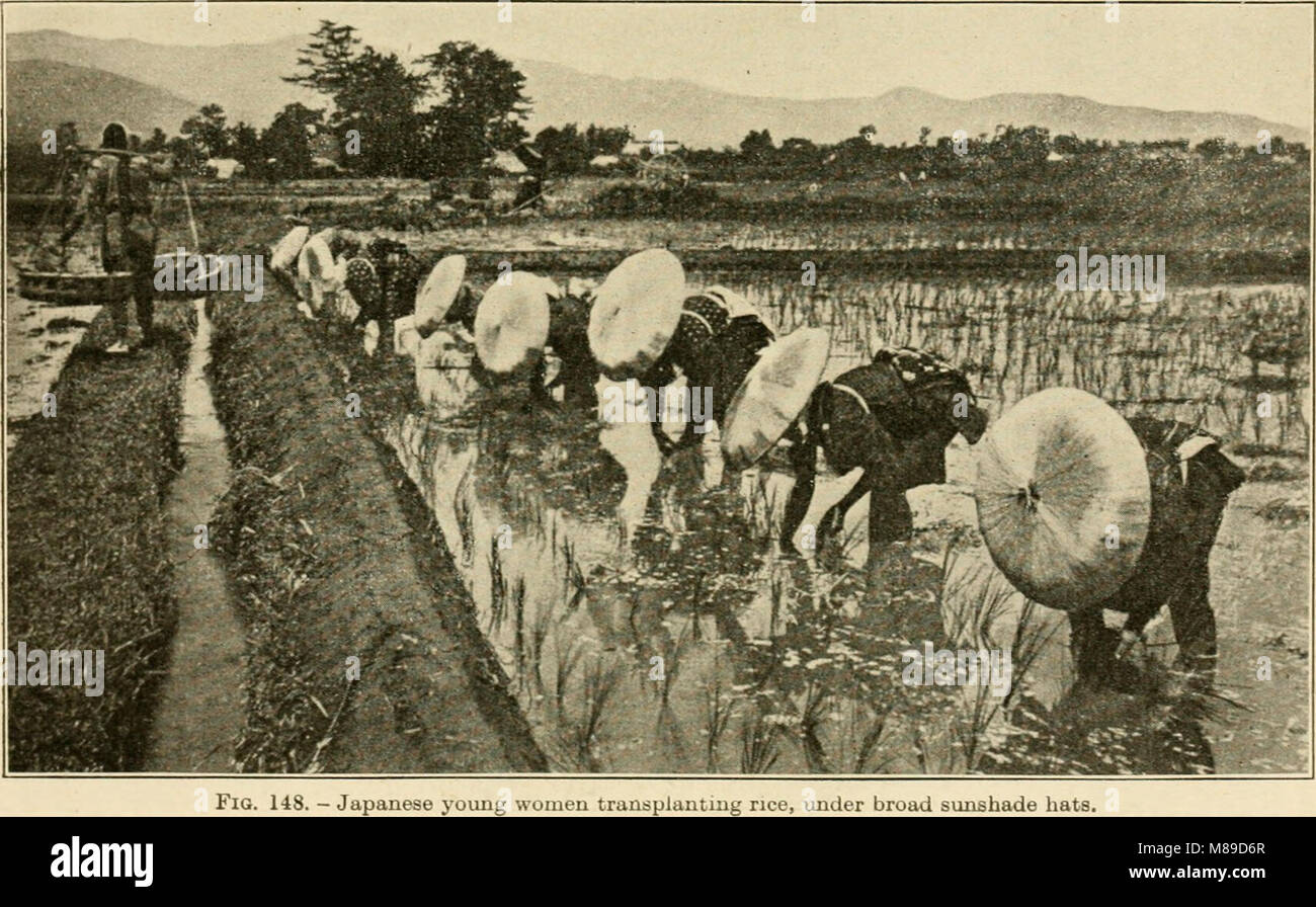 Ancient china farmers illustration hi-res stock photography and images ...