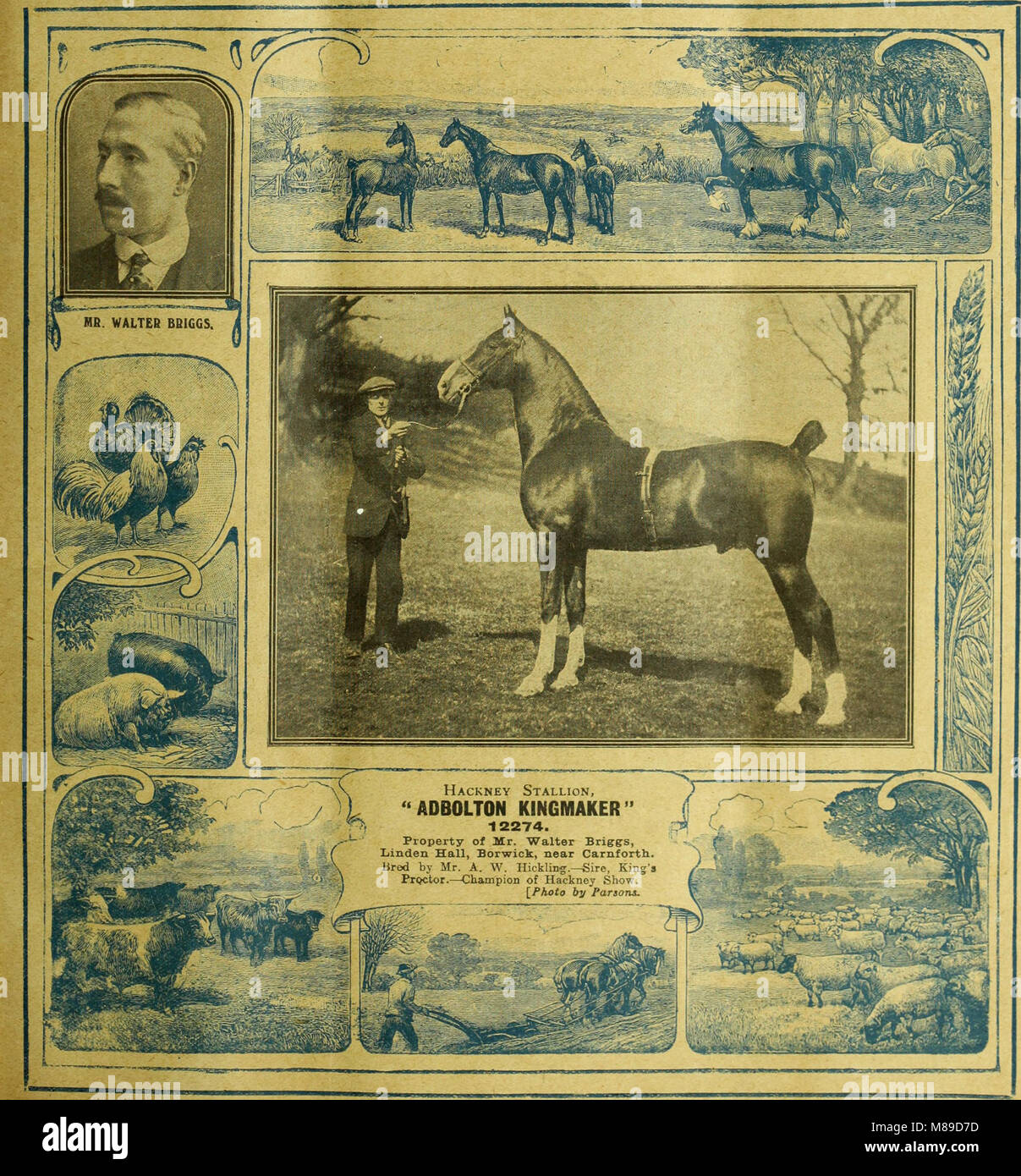 The 1919 Farmer and Stockbreeder magazine focused on agricultural ...