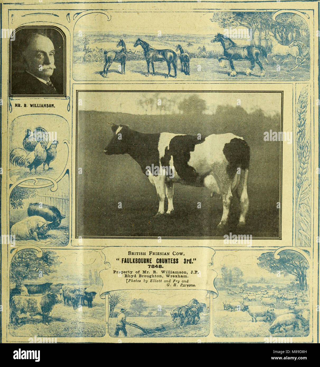 Farmer stockbreeder 1919 hi-res stock photography and images - Alamy
