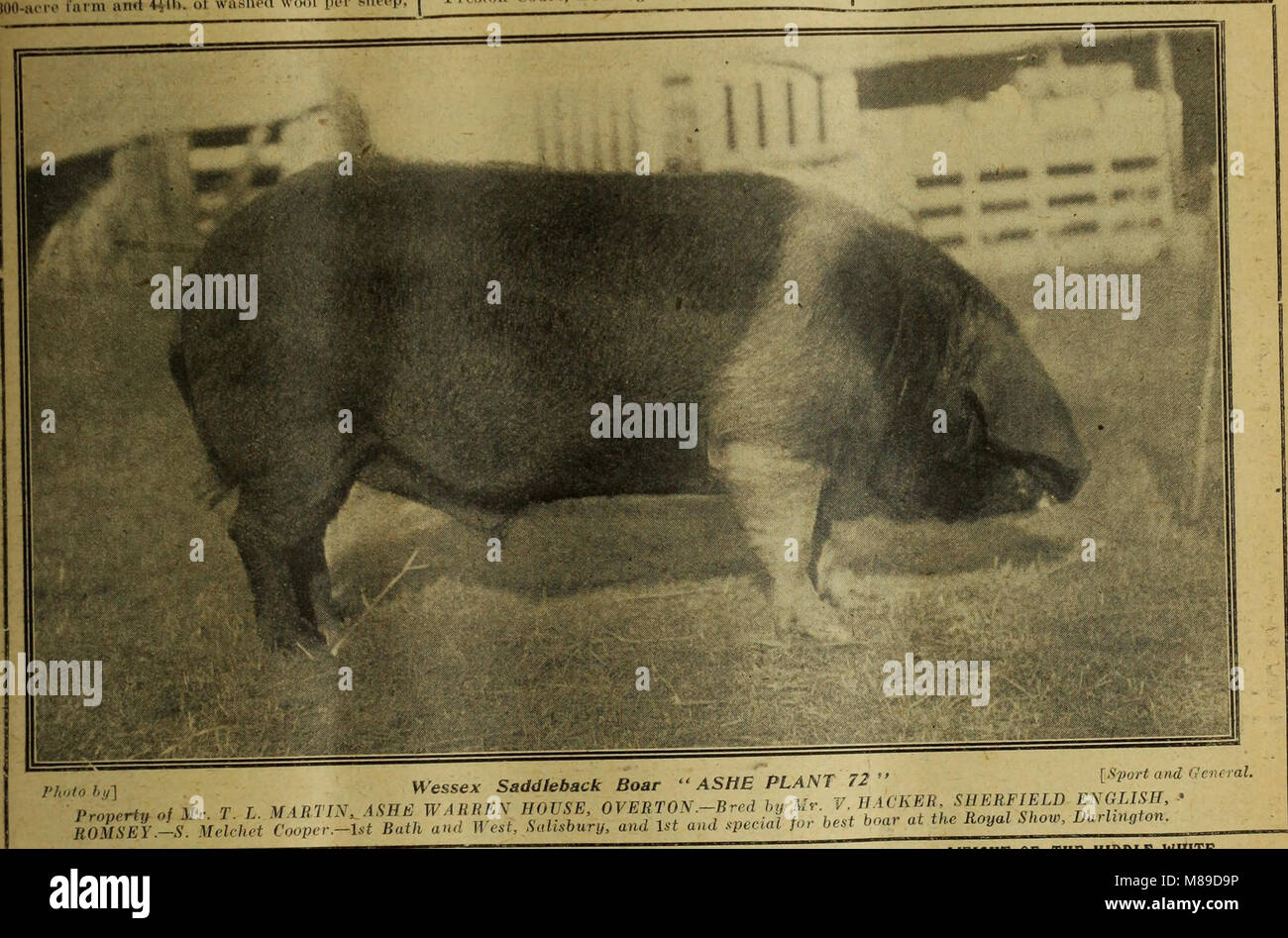 'Farmer and Stockbreeder' (1920) is a publication focusing on farming ...