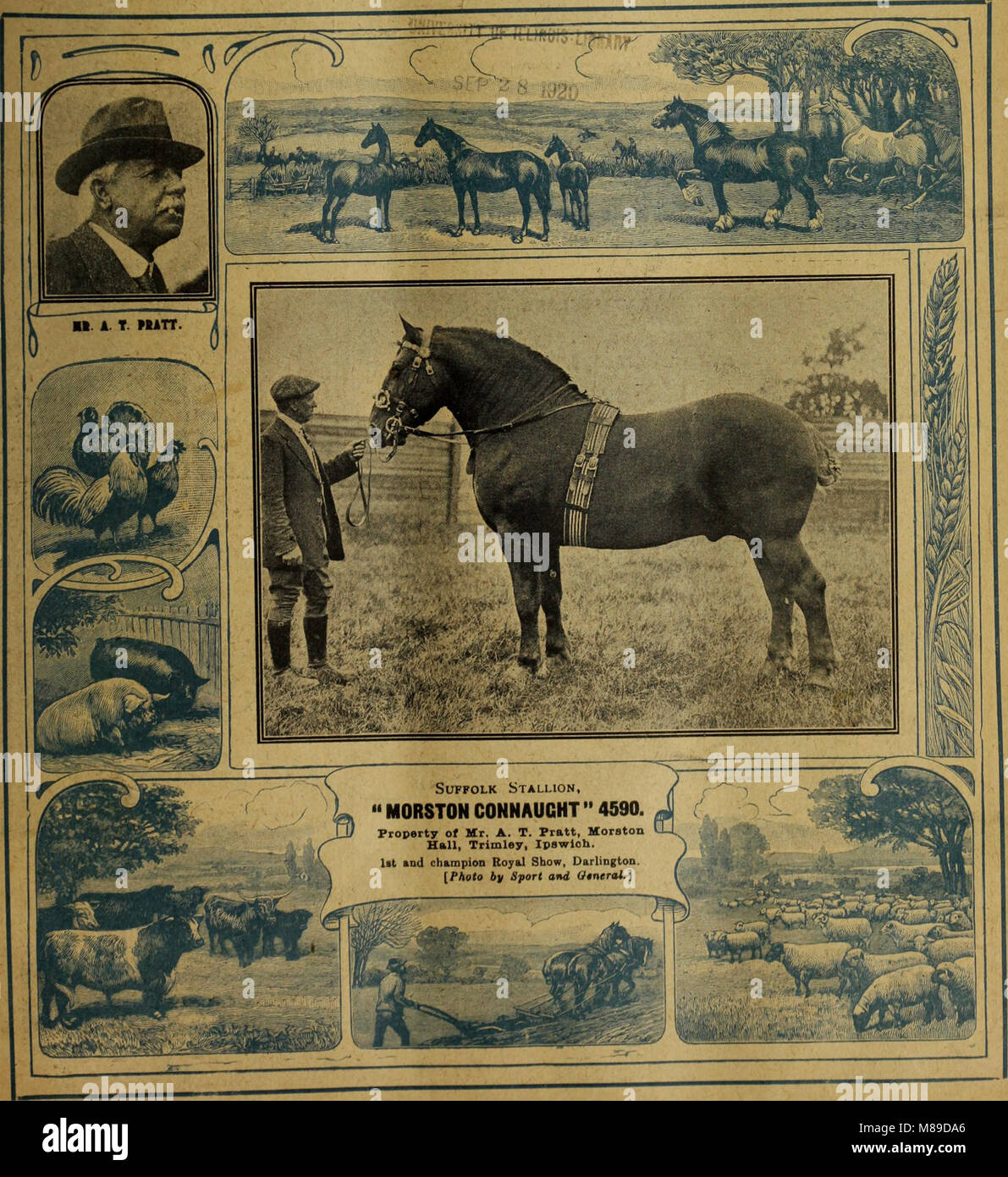 Farmer stockbreeder 1920 hi-res stock photography and images - Alamy