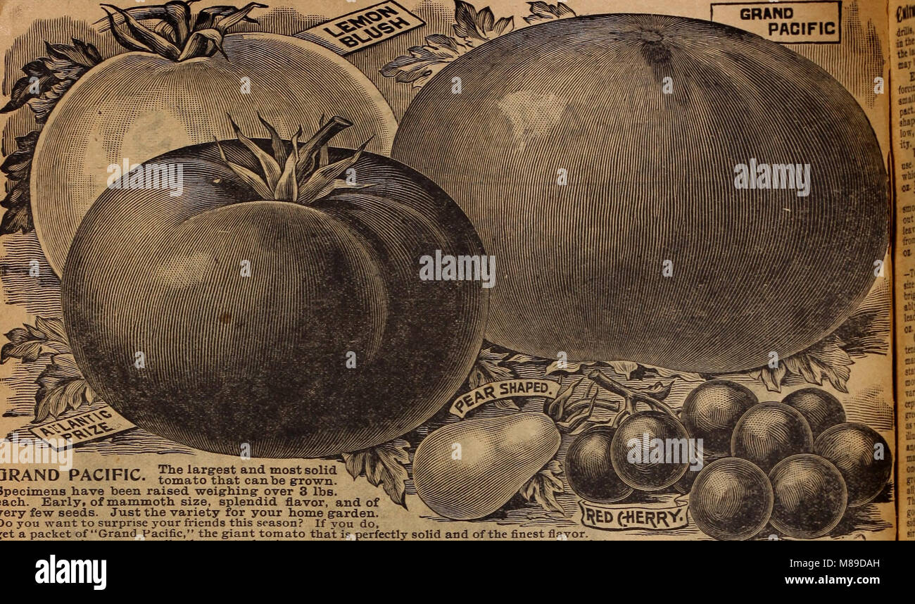 The 1899 Farm and Floral Guide provides essential information for ...
