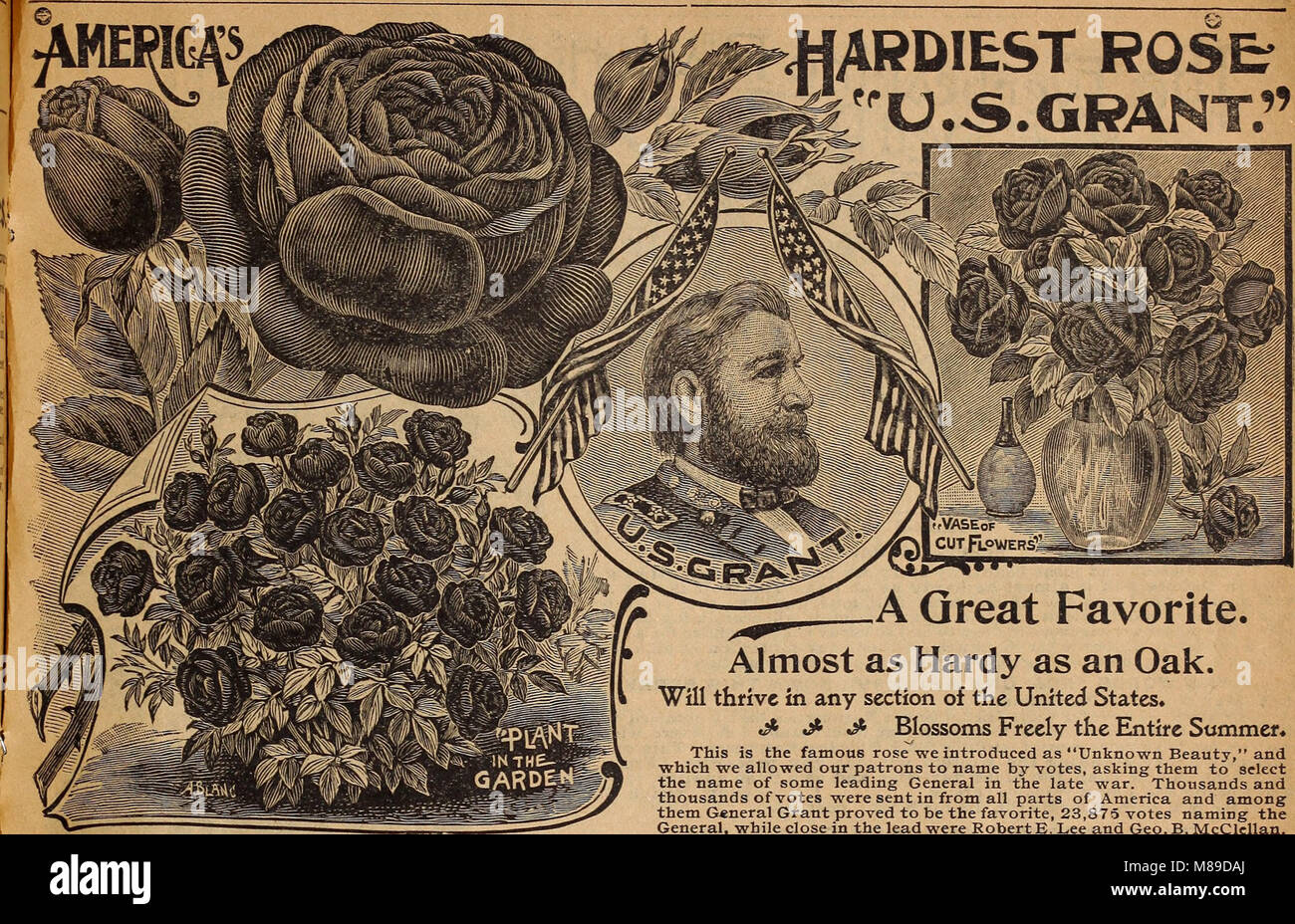 *Farm and Floral Guide* (1899) offers practical advice for farmers and ...