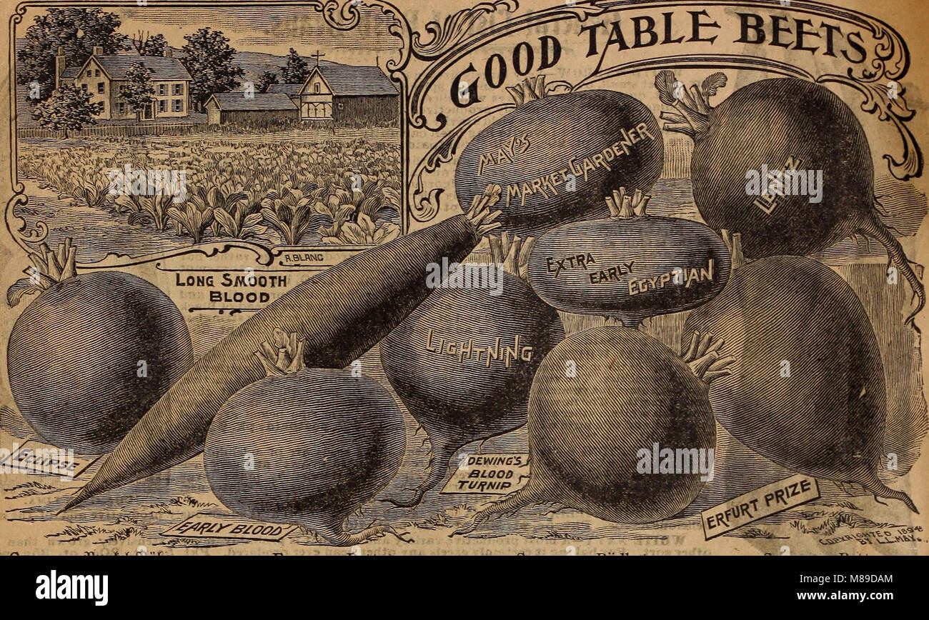 The 1899 'Farm and Floral Guide' provides practical advice on farming ...