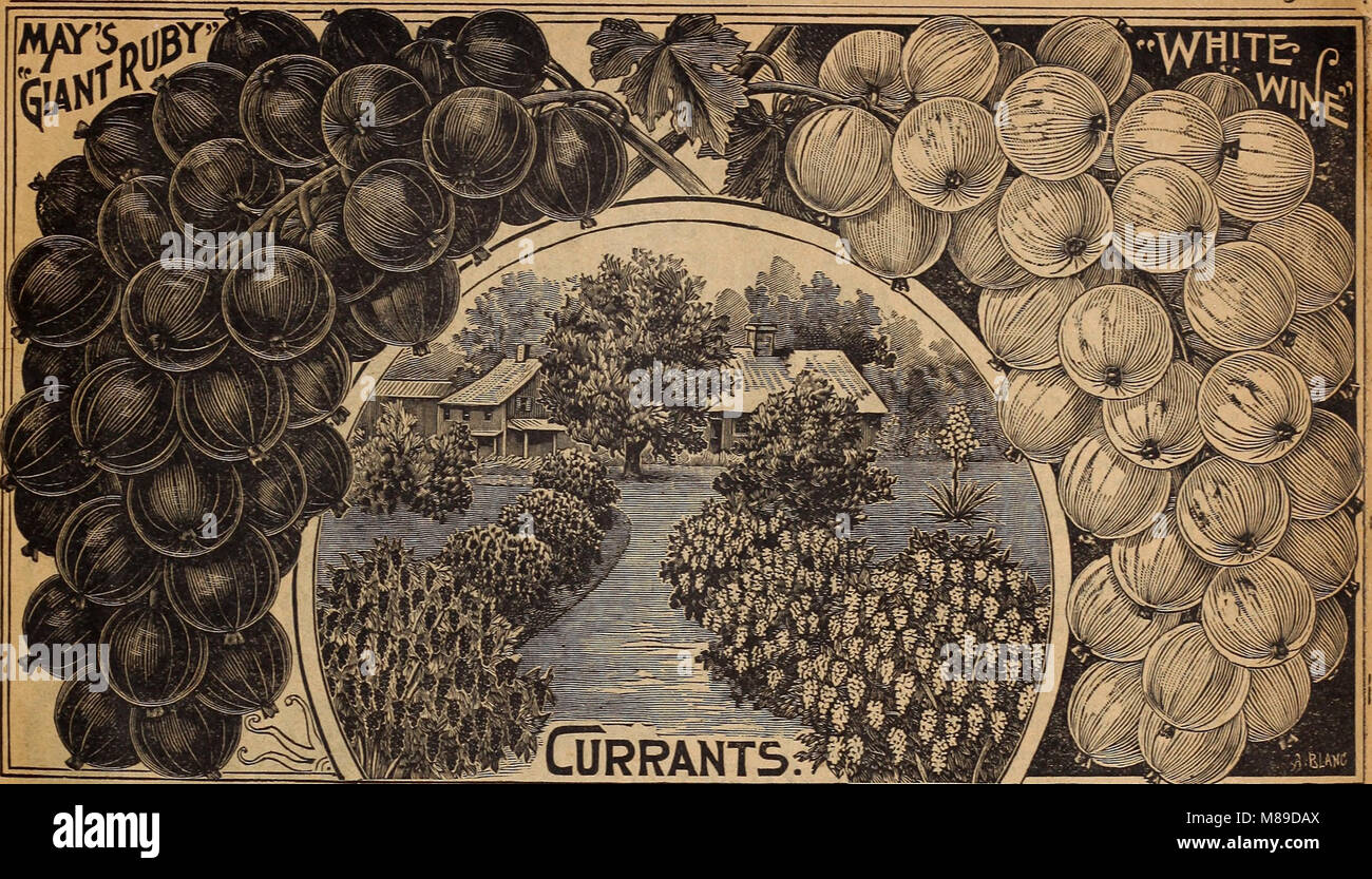 The 1899 'Farm and Floral Guide' offers practical advice on farming ...