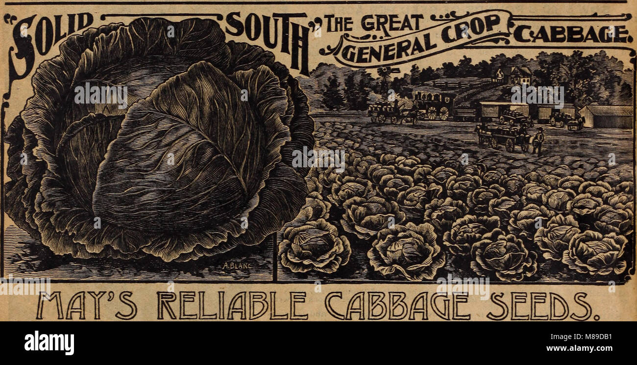 The 1899 'Farm and Floral Guide' is a resource for farmers and ...