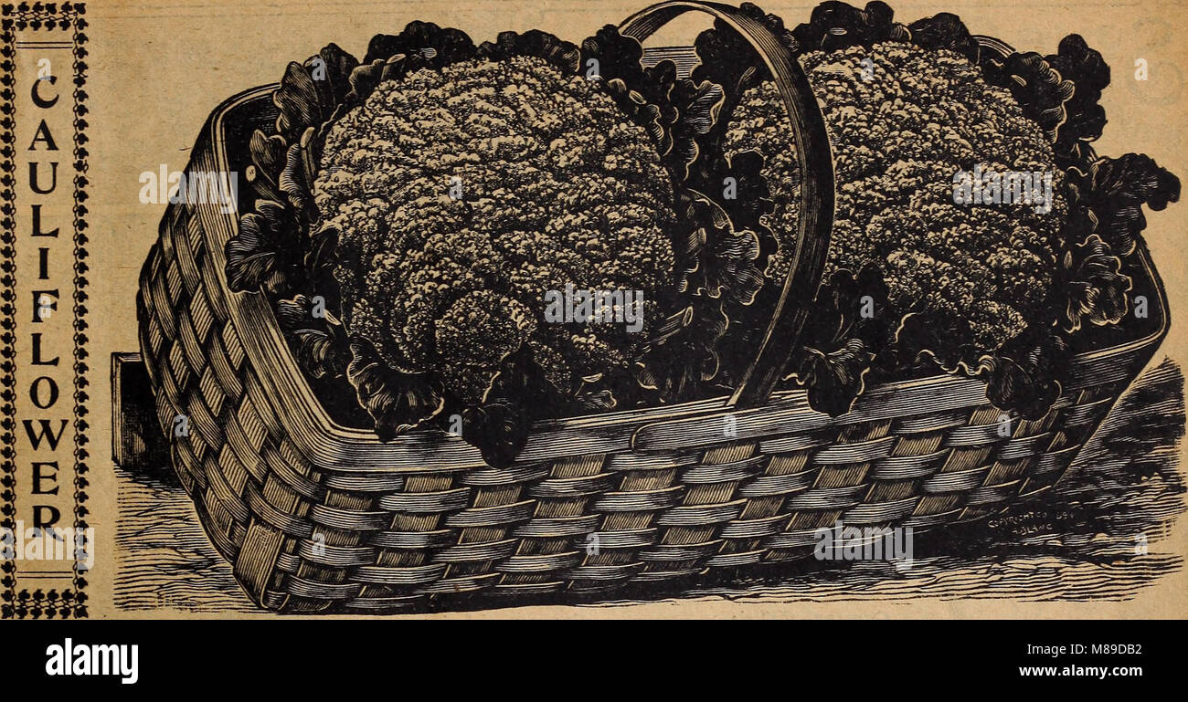 The 1899 edition of the 'Farm and Floral Guide' provides practical ...