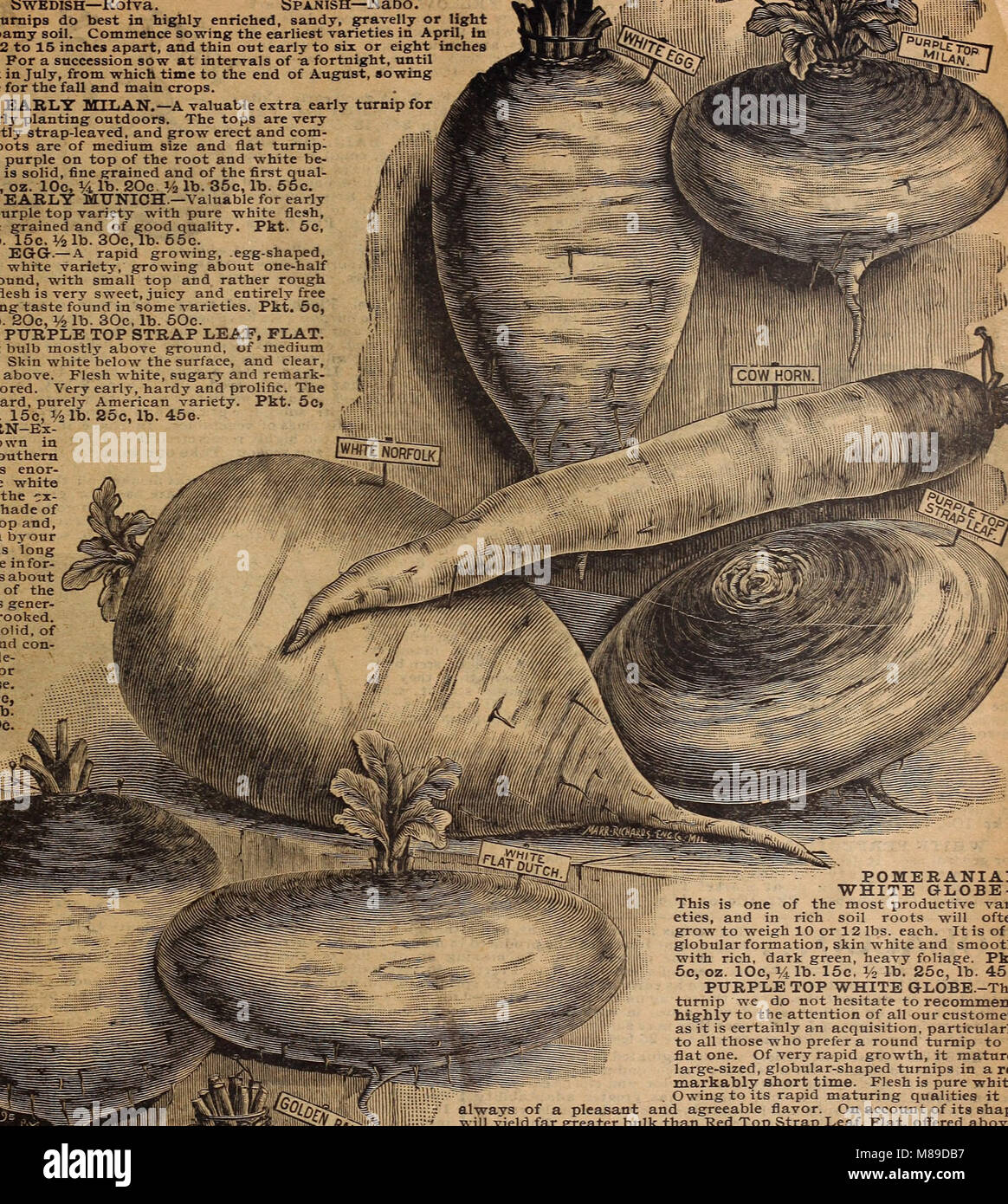 The 'Farm and Floral Guide' (1899) offers practical advice on farming ...