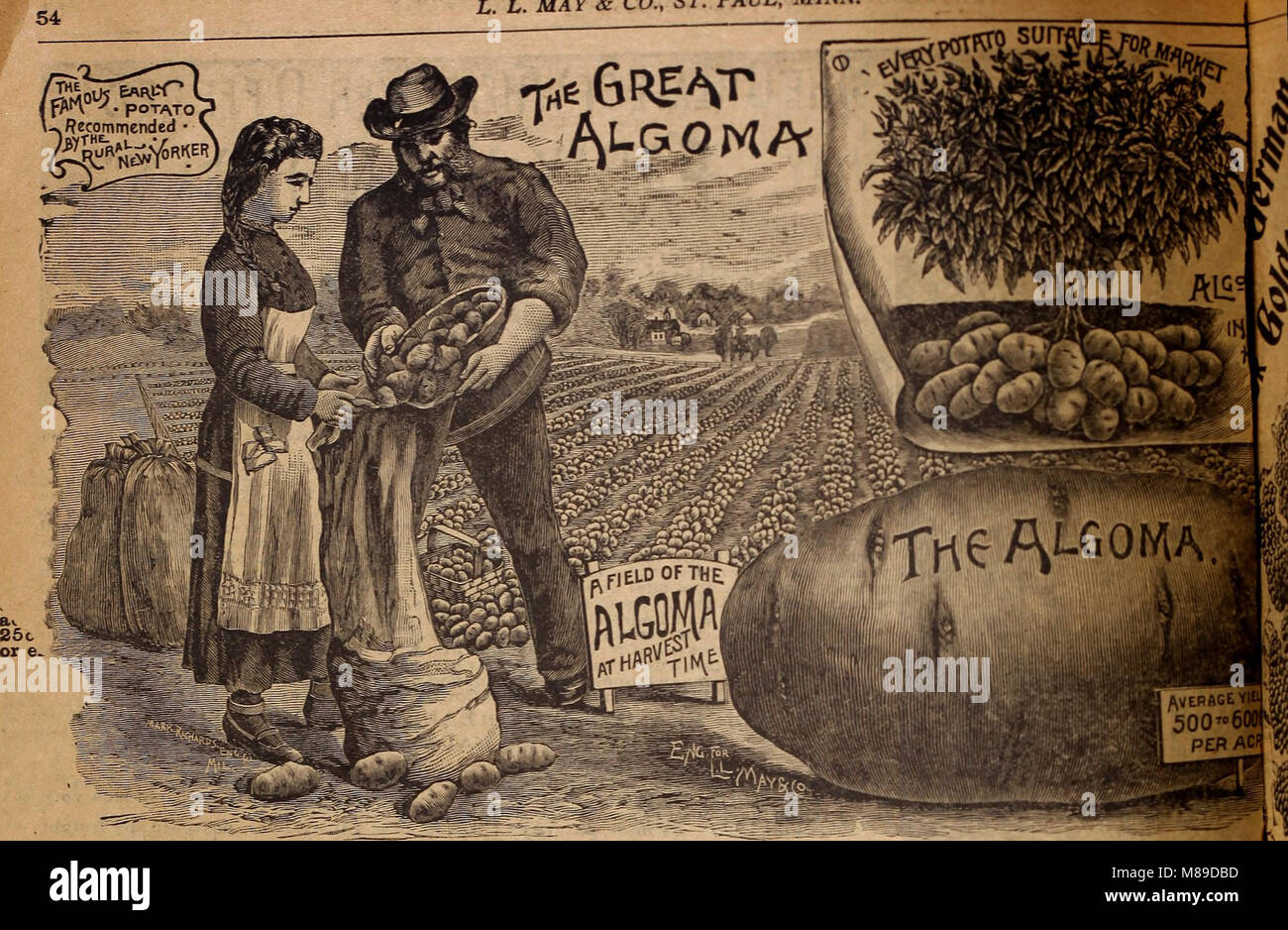 The 1899 Farm and Floral Guide provides comprehensive advice on farming ...