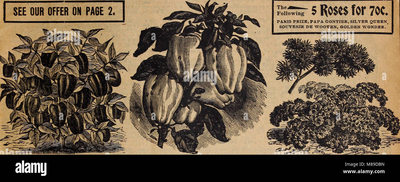 The 1899 'Farm and Floral Guide' provides comprehensive advice on ...