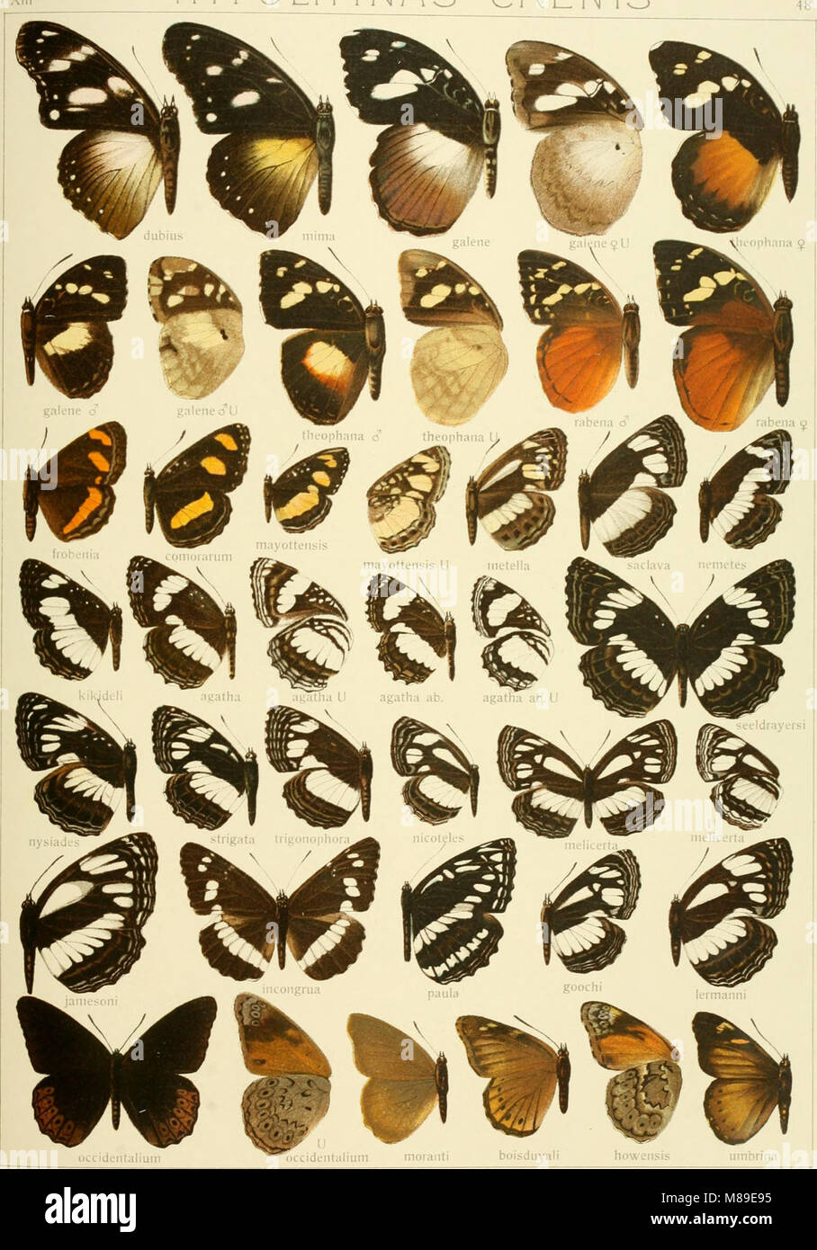 This 1900 work is a systematic study of the known species of large ...