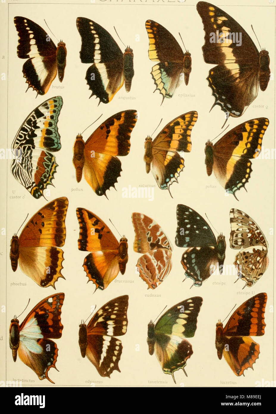 This 1900 work provides a systematic treatment of the world's large ...