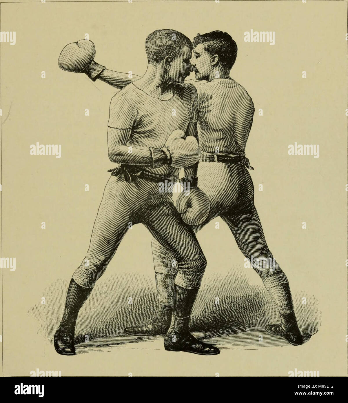 Fencing strategies hi-res stock photography and images - Alamy