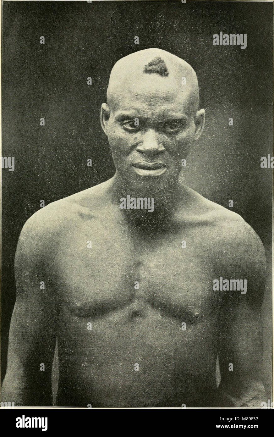 Fetichism in West Africa; forty years' observation of native customs ...