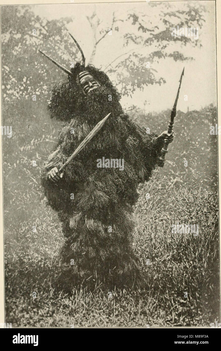 Fetichism in West Africa; forty years' observation of native customs ...