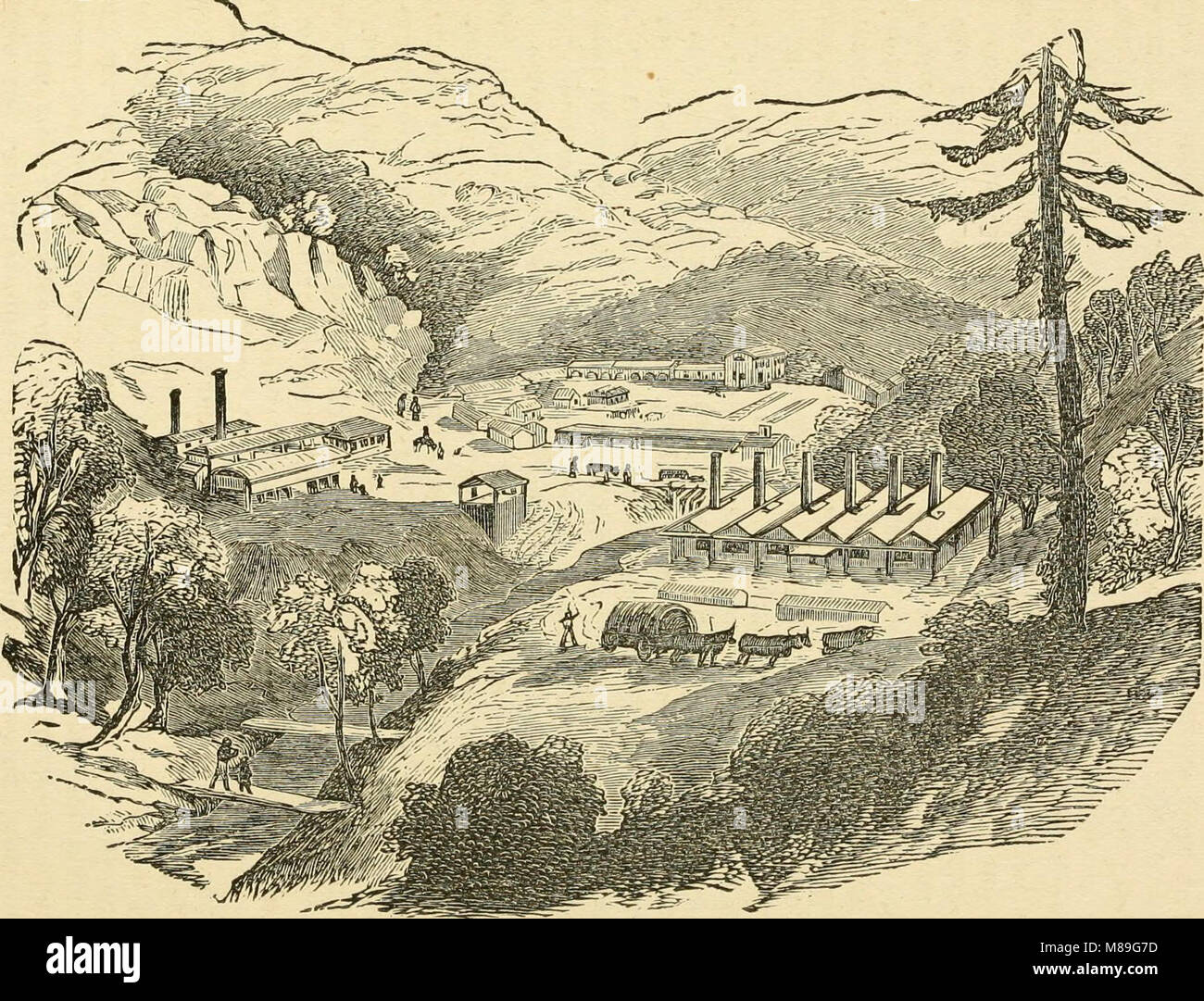*First Century of National Existence* (1873) provides an overview of ...