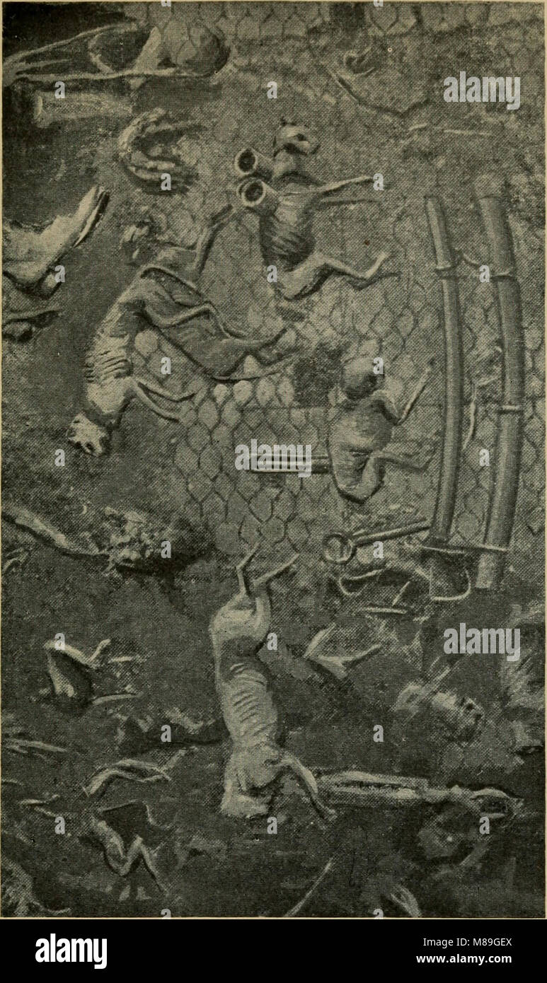 First impressions of Europe (1908) (14597578589 Stock Photo - Alamy