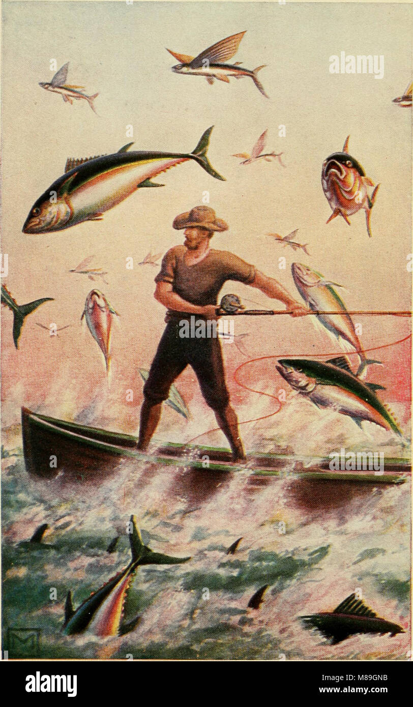 Fish stories alleged and experienced, with a little history natural and ...