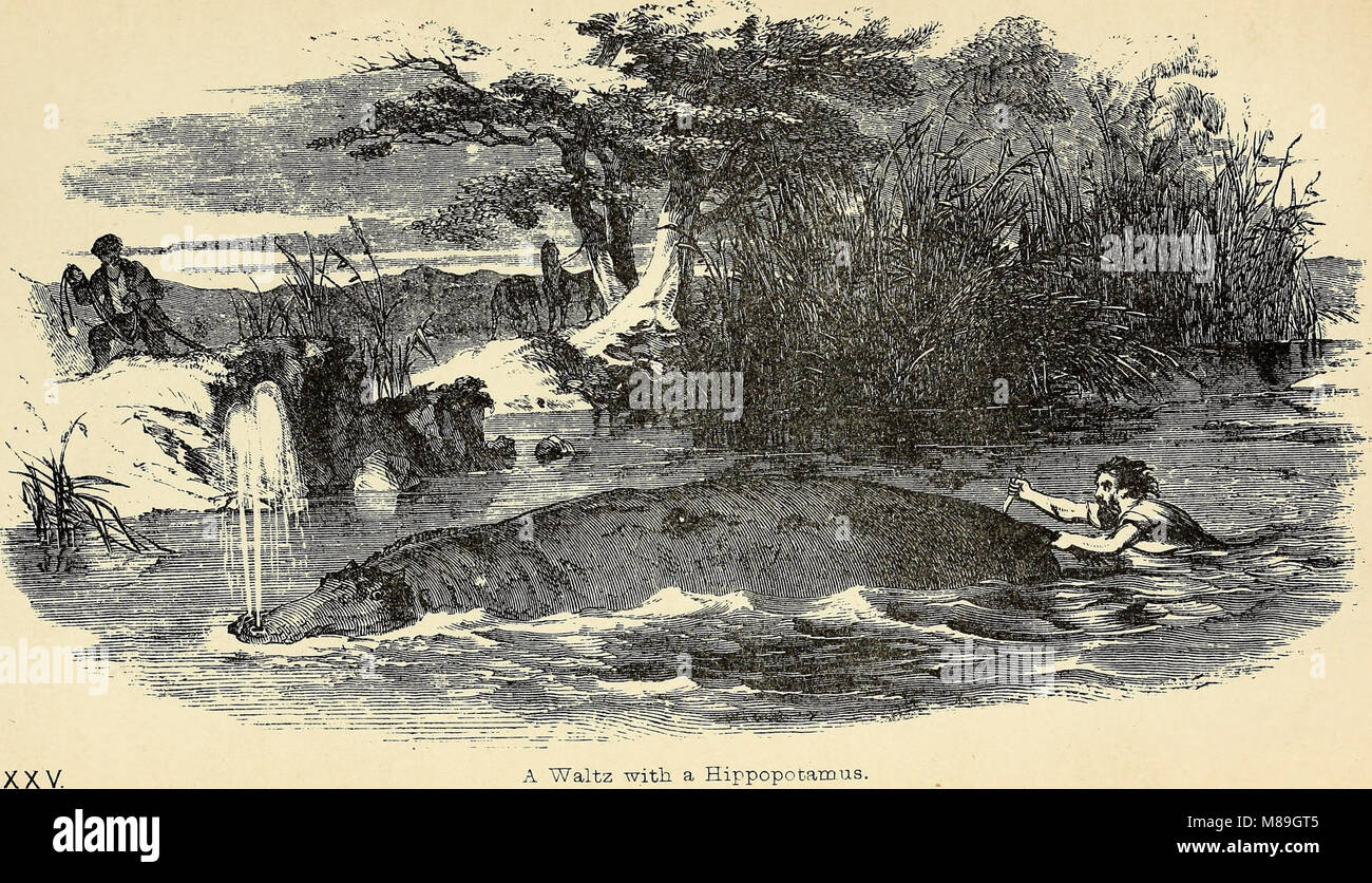 This 1892 book recounts five years of hunting in South Africa, focusing ...