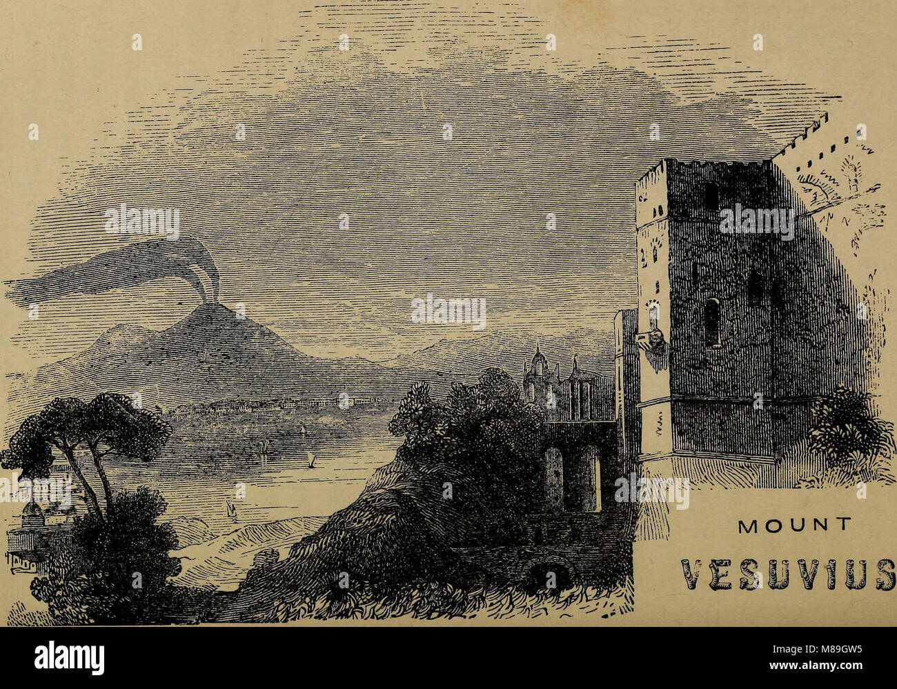 Five years before the mast (1854) (14762270684 Stock Photo - Alamy