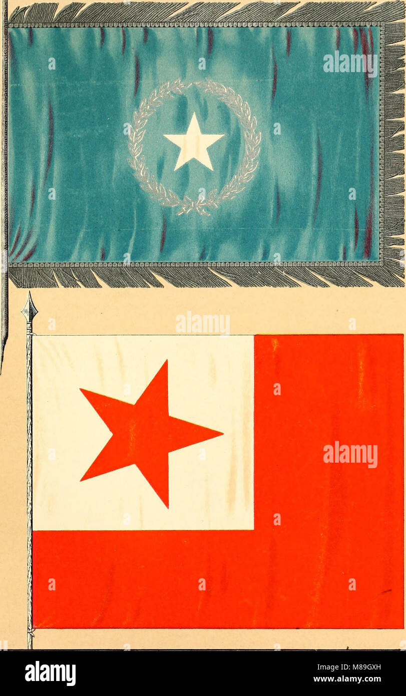 This book explores the flags used by the United States Army during the ...