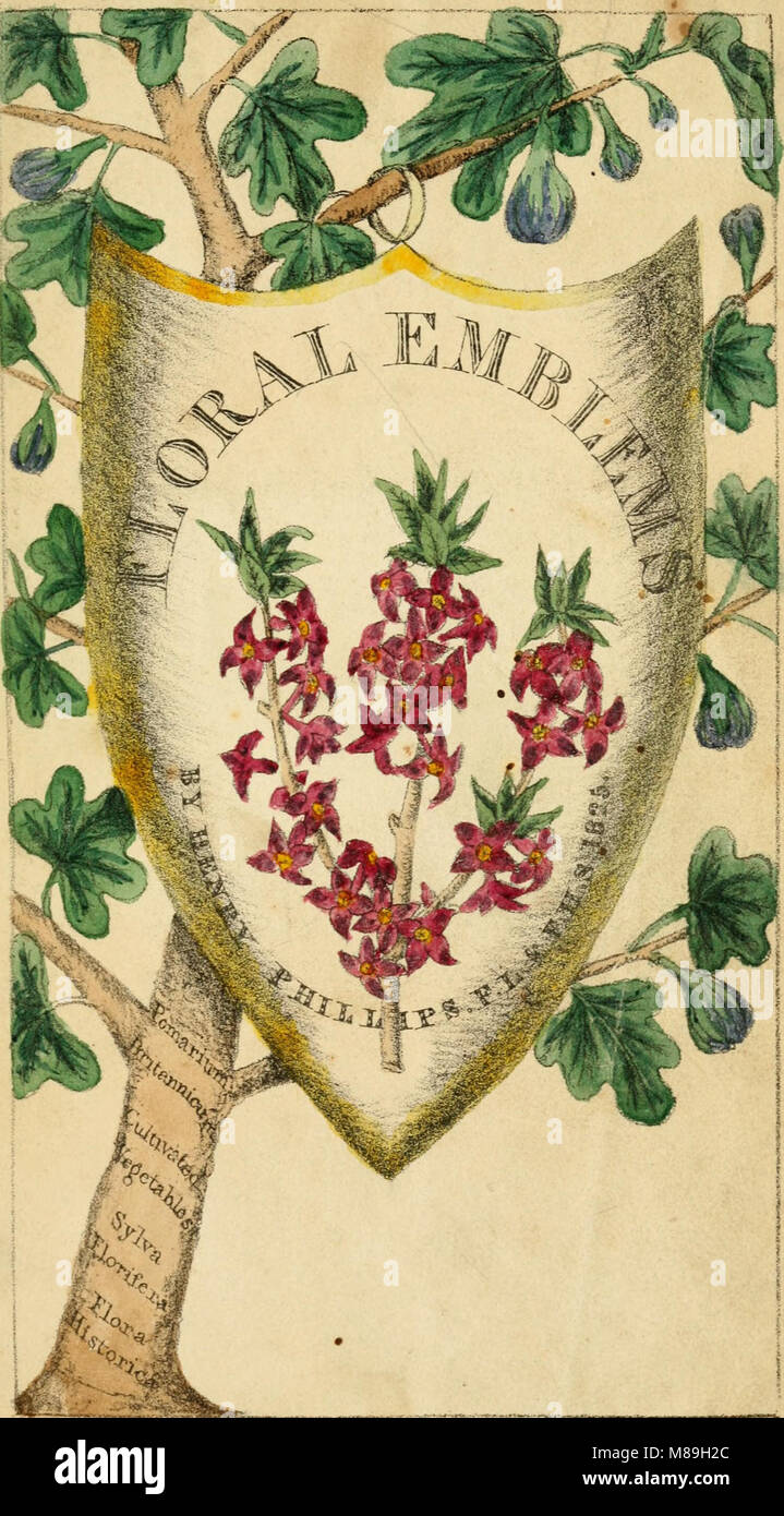 Floral emblems (1825) (14752043671 Stock Photo - Alamy