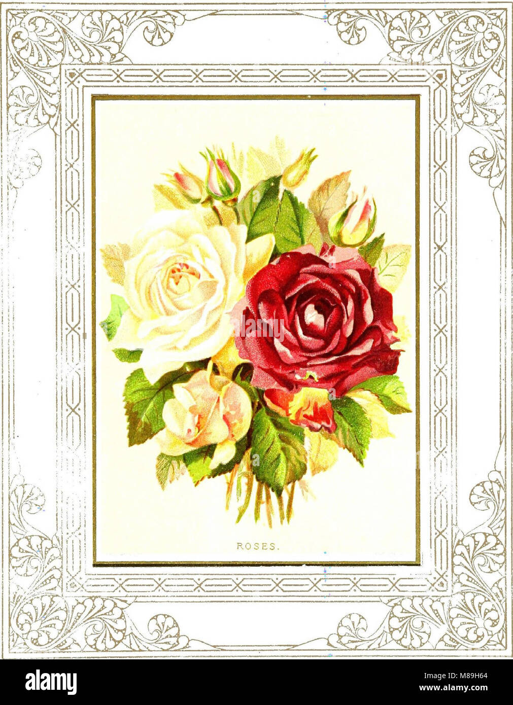 Floral poetry and the language of flowers (1877) (14596158690 Stock ...