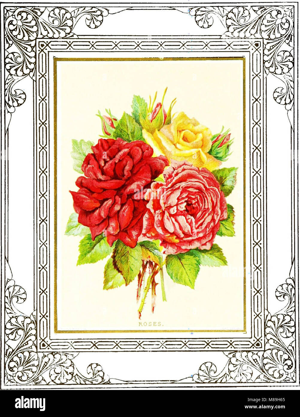 Floral poetry and the language of flowers (1877) (14596221838 Stock ...