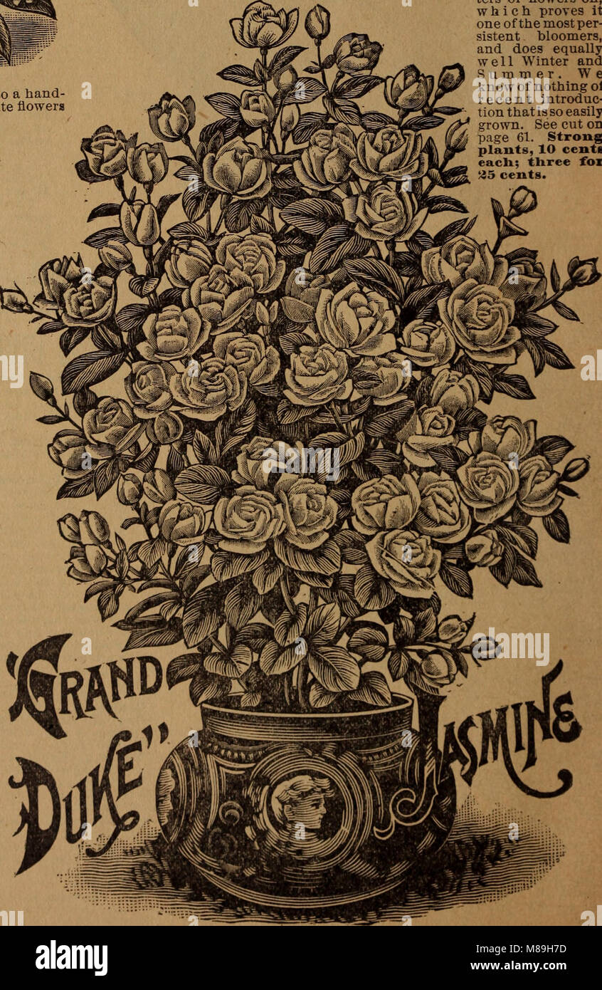 Floral treasures hi-res stock photography and images - Alamy