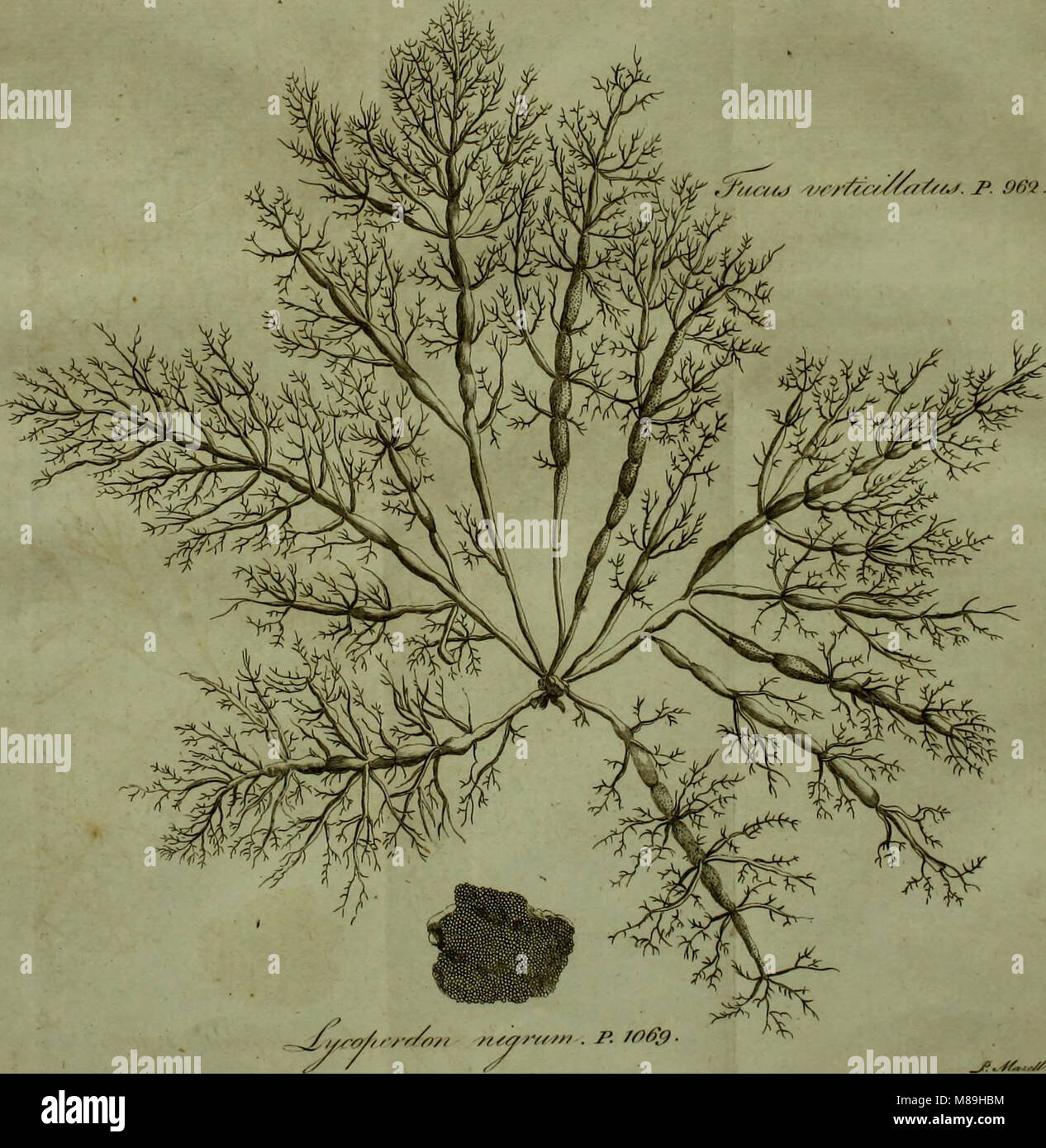 Systematic method hi-res stock photography and images - Alamy