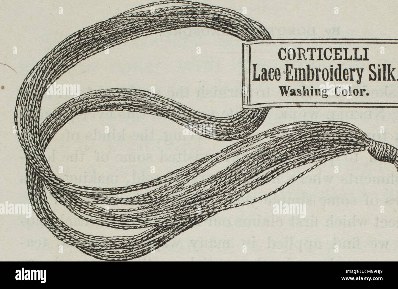 'Florence Home Needle-Work' (1895) offers a detailed exploration of ...