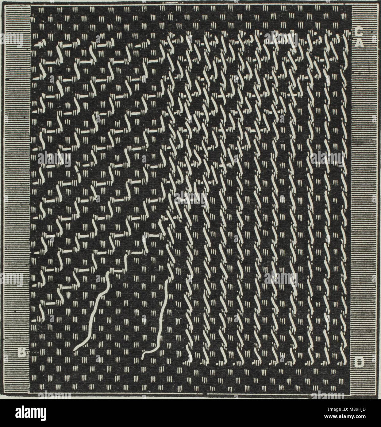 'Florence Home Needle-Work' (1895) is a guide to various needlework ...