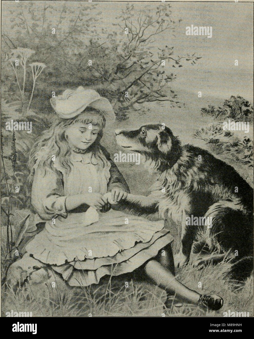 The work of florence nightingale hi-res stock photography and images ...