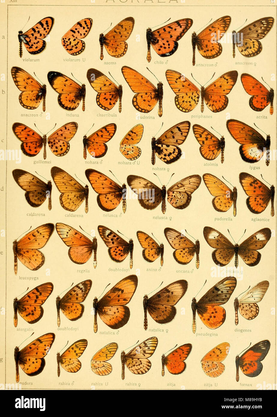 'Die Grossschmetterlinge der Erde' (1907) is a systematic study of the ...
