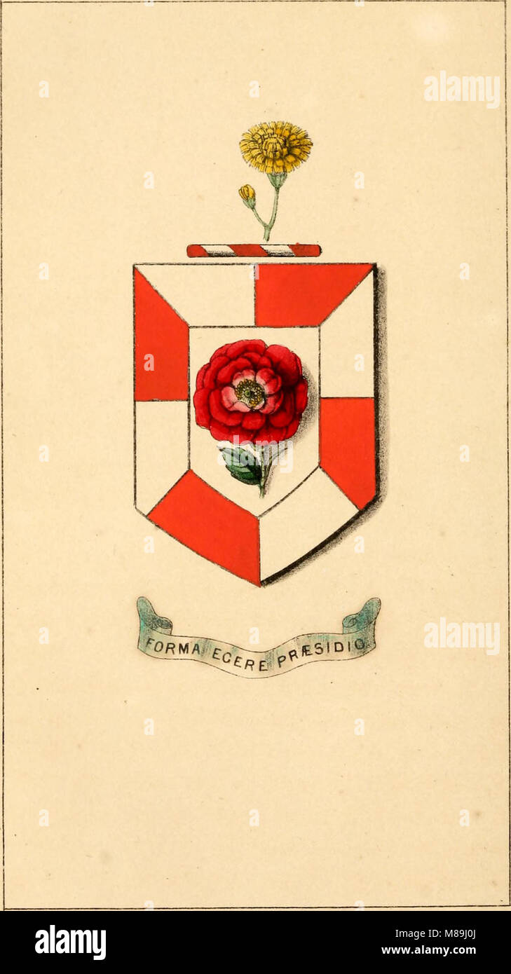 A 1851 work combining flowers and heraldic symbols, using floral ...
