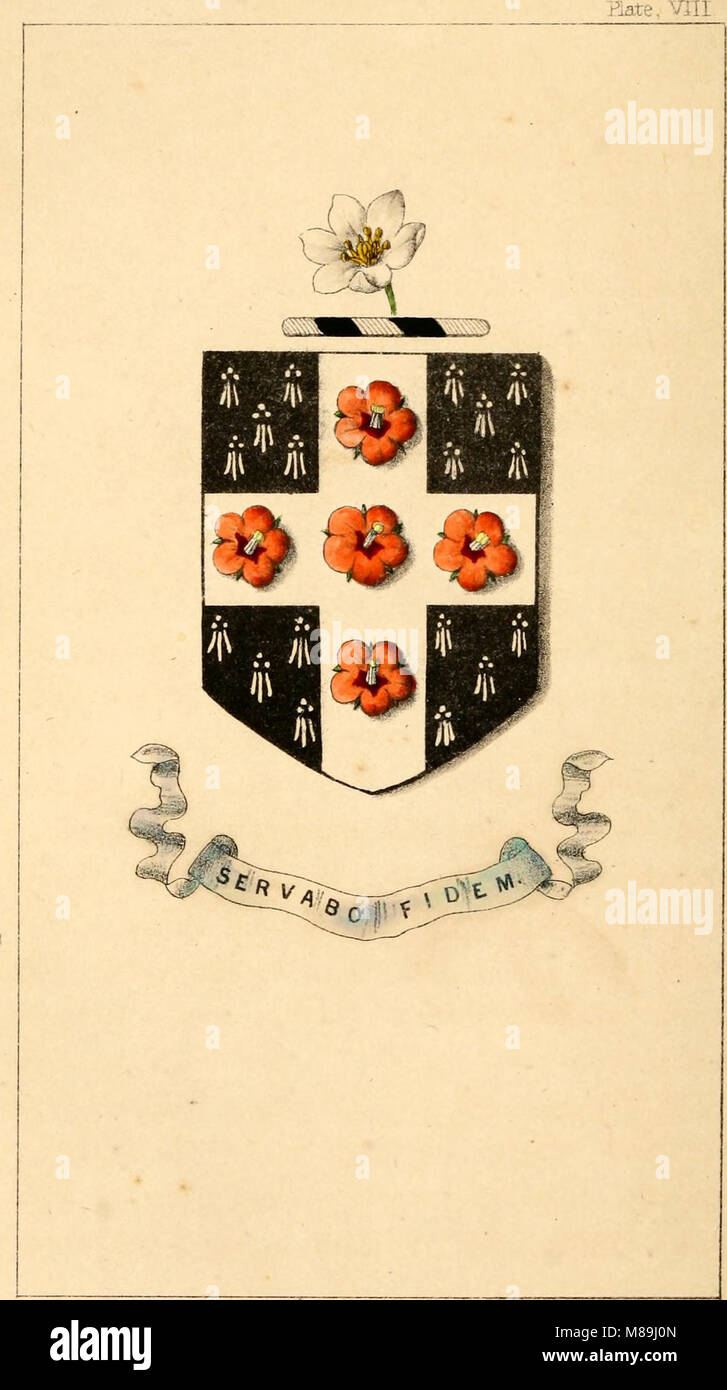 Flowers and heraldry; or, Floral emblems and heraldic figures, combined ...