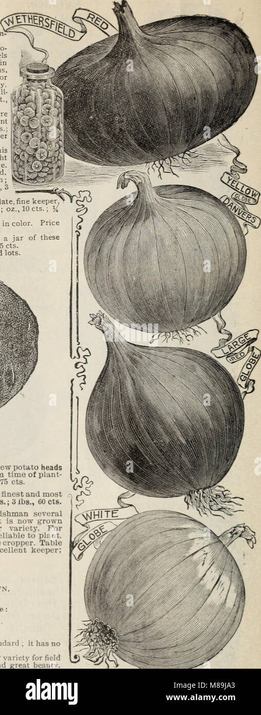 *Forage Plants and Grasses* (1897) provides information on various ...