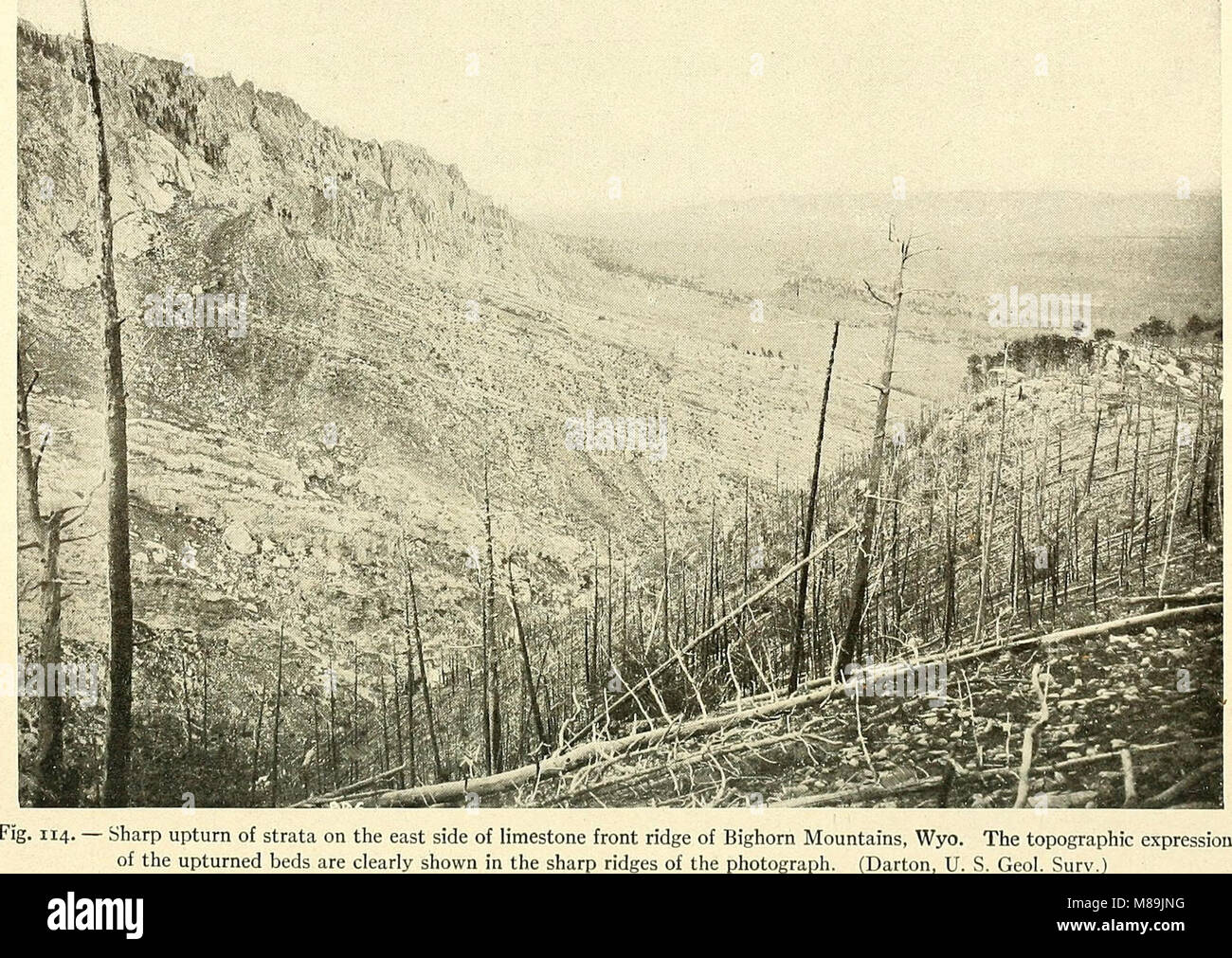 Forest physiography; physiography of the United States and principles ...
