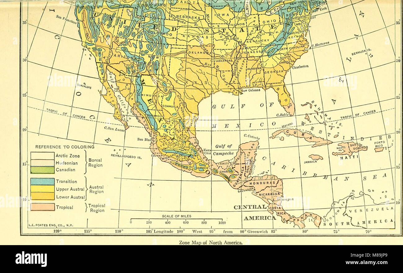 Forest physiography; physiography of the United States and principles ...