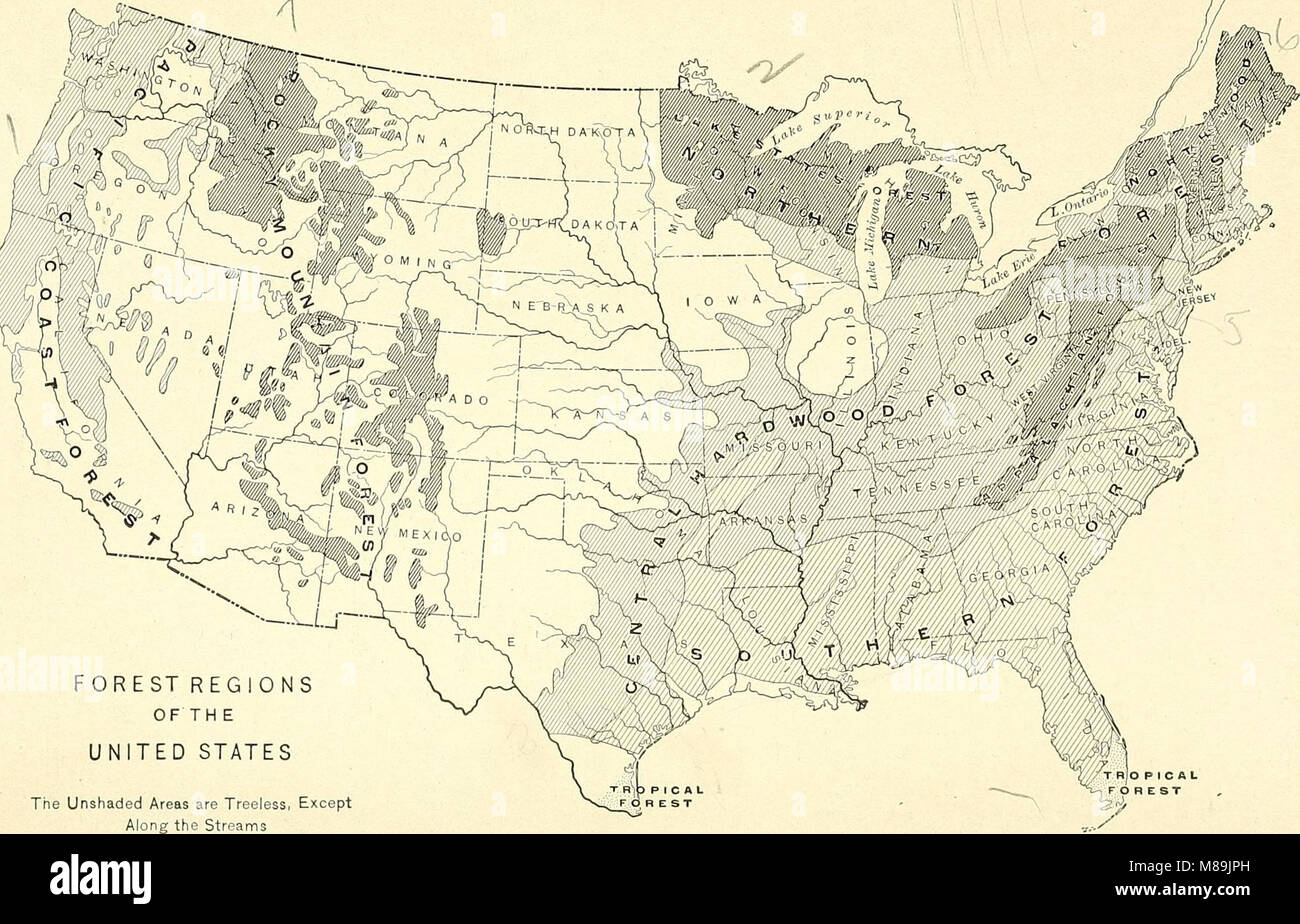 Forest physiography; physiography of the United States and principles ...