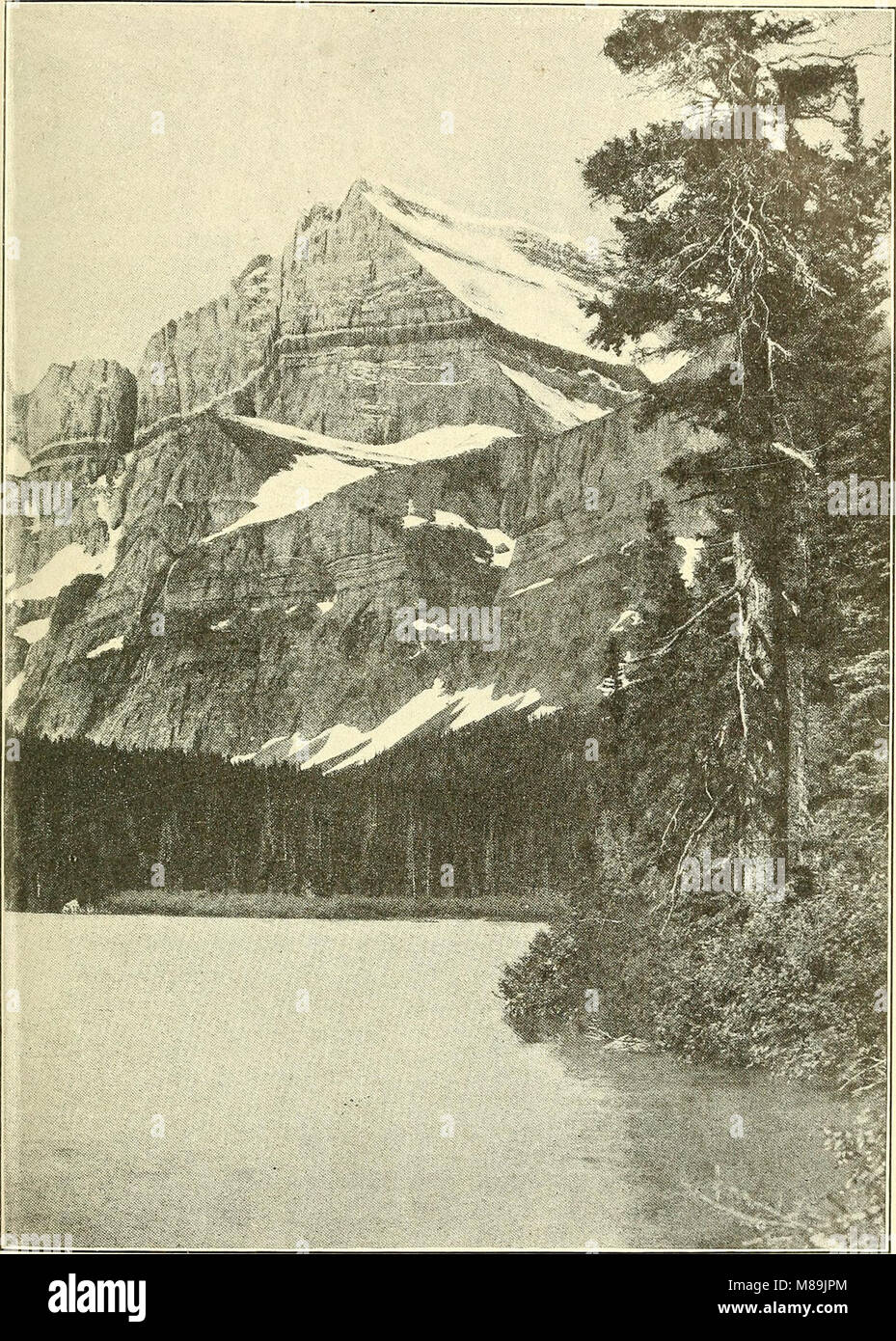 Forest physiography; physiography of the United States and principles ...